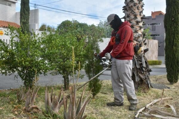 Capital al 100 y Domingo de Pilas transforman más de 500 colonias en ...