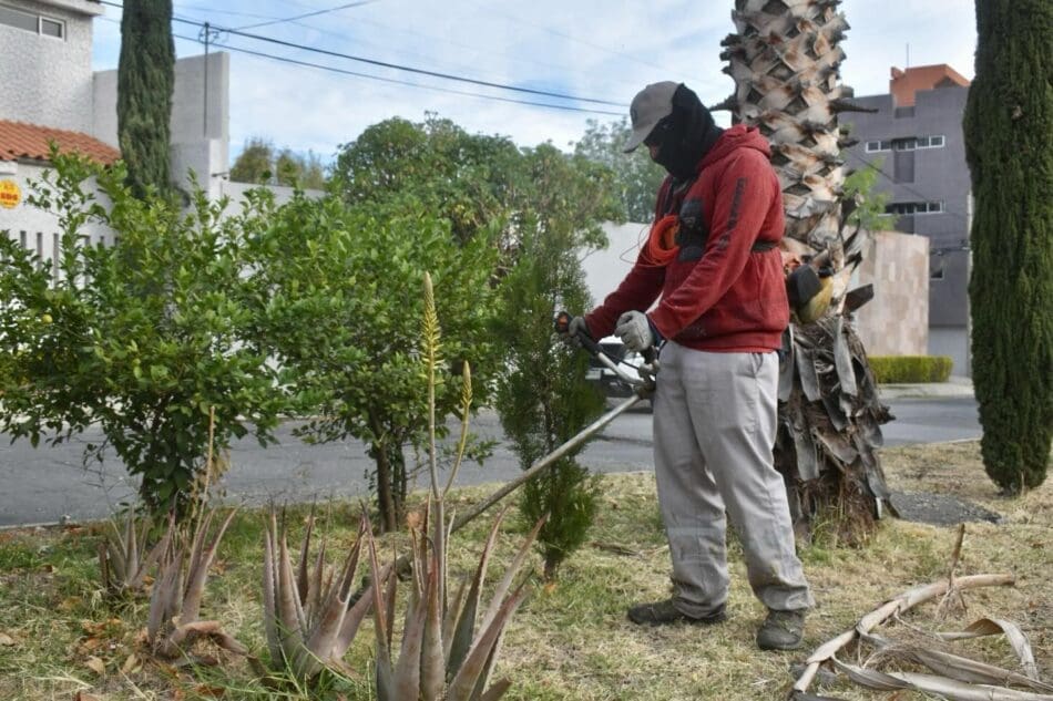 Capital al 100 y Domingo de Pilas transforman más de 500 colonias en ...